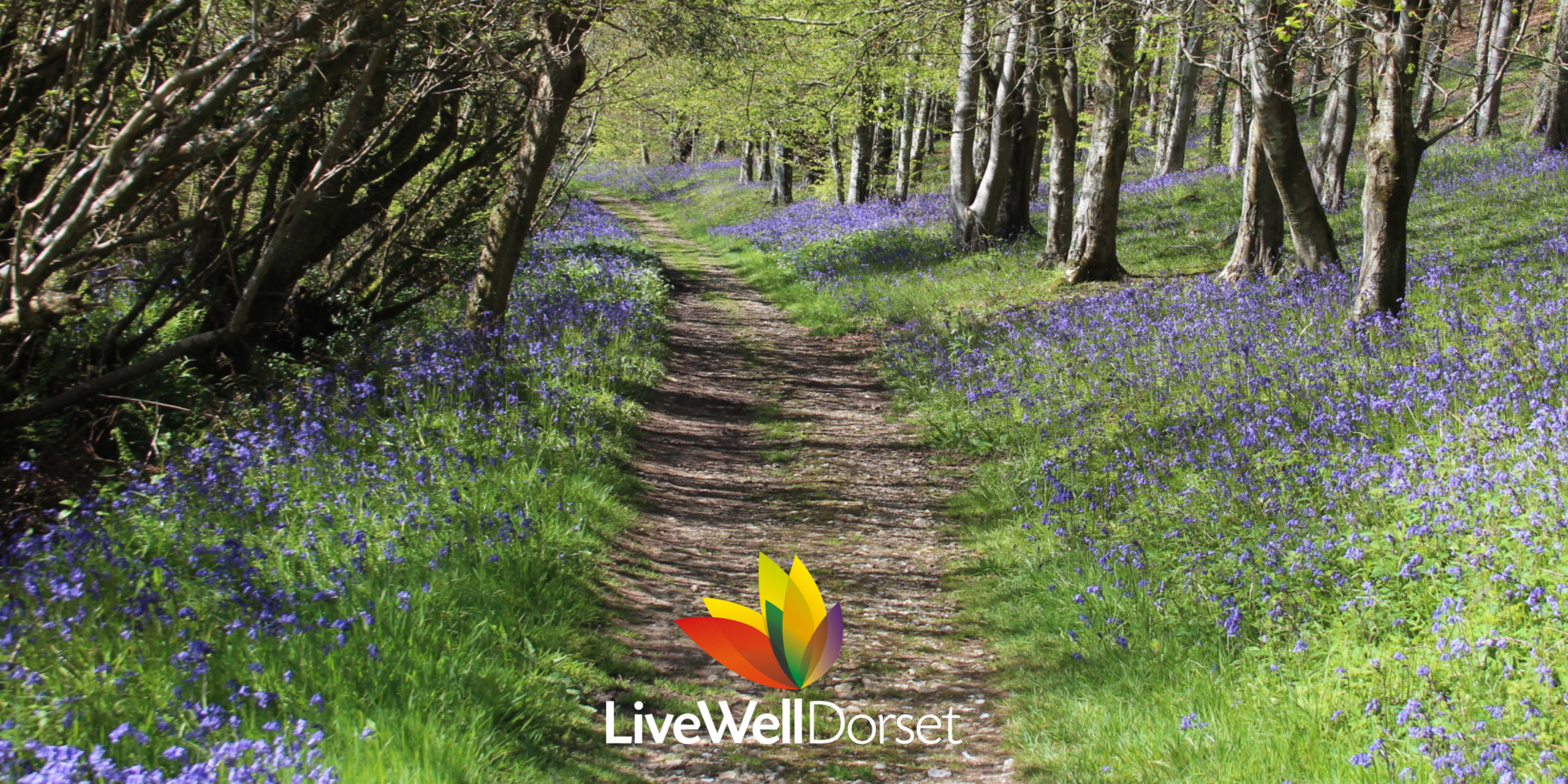 The mental and physical benefits of spring · LiveWell Dorset